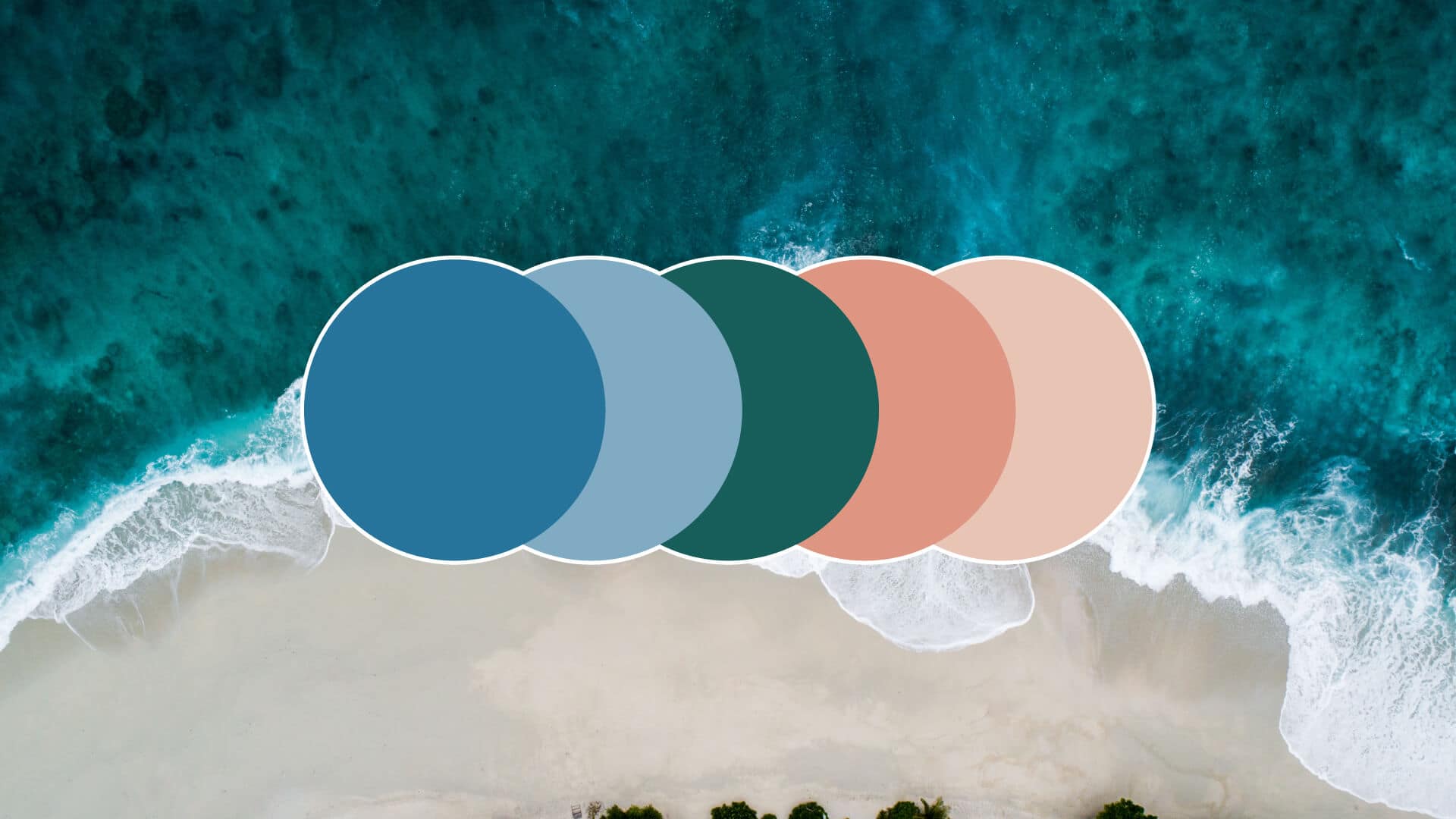 The Ecosystem Sustainable Brand Design – Blue Raspberry Design