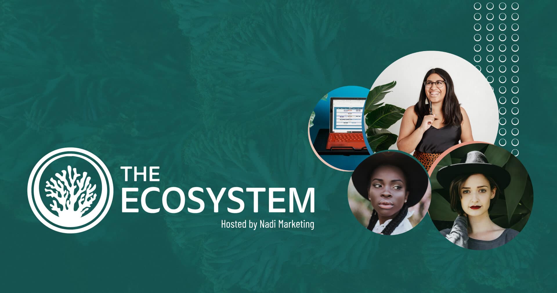 The Ecosystem Sustainable Brand Design – Blue Raspberry Design