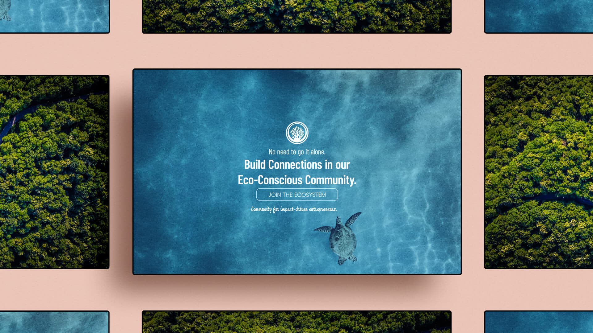 The Ecosystem Sustainable Brand Design – Blue Raspberry Design